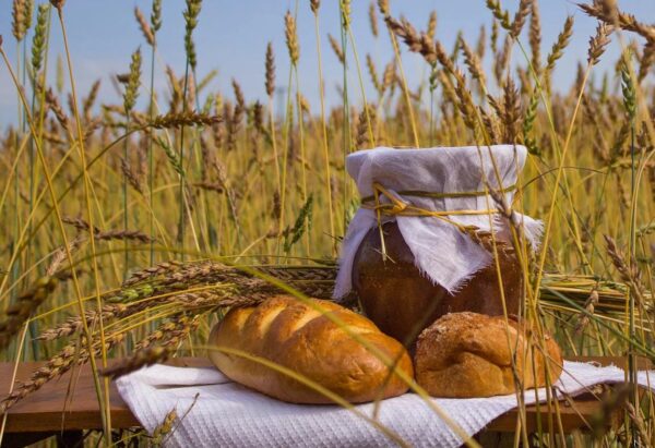 The time-honored tradition of bread and salt in Ukrainian society ...